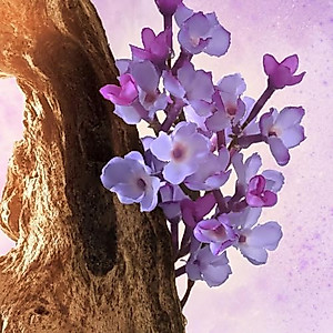 BVLGARI Omnia Amethyste for Women 2.2 oz Eau de Toilette Spray