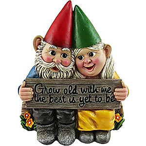 DWK - Growing Old Together - Garden Gnome Couple in Love Collectible Figurine Best Friends Lovers Romantic Statue Indoor Outdoor Garden Patio Home Décor, 5.75-inch