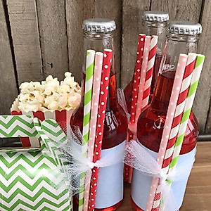 Outside the Box Papers Strawberry Shortcake Theme Polka Dot and Striped Paper Straws 7.75 Inches 100 Pack Red, Pink, Lime Green, White