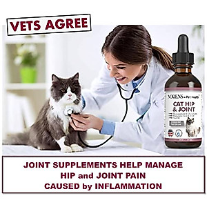 NODENS CAT Hip and Joint Glucosamine for Cats with Chondroitin and Opti-MSM® Hyaluronic Acid for Improved Joint Flexibility and Pain Relief from Inflammation and Cat Arthritis 2 floz