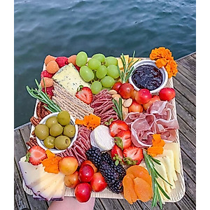 Dtocs Palm Leaf Plates 10 Inch Square 50 Pack Dinner Plate | Disposable Bamboo Plate Like Compostable Plates, Charcuterie Board, Cheese Platter | Wedding Plate Set Better Than Paper Plates