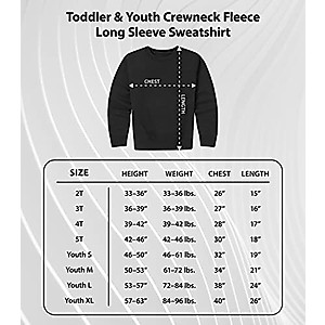 HYBRID APPAREL - Spongebob Squarepants - Patrick Sparkers Flag - Toddler & Youth Crewneck Fleece Sweatshirt - Size Small Mauve