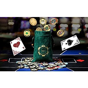 Poker Guard, Weights for Poker, Poker Gifts for Men, Poker Card Protector, Poker Accessories, Poker Chips with Plastic Case (Lucky Horseshoe)