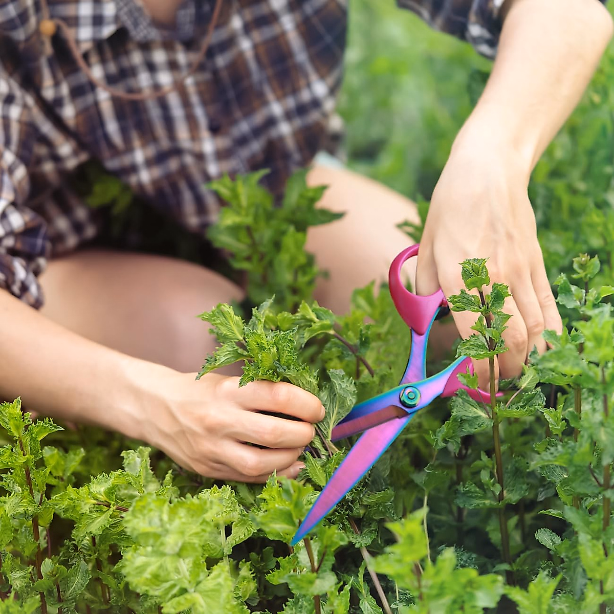 Left Handed Scissors Set of 2 Pack (9" Heavy Duty Titanium Coating Fabric Shears & 5" Small Scissors) for Sewing/Crafting/School/Office Use, Ideal for Arts/Crafts/Leather/Paper, Left Handed Gifts