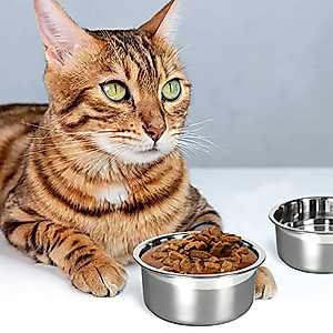 Kennel Water Bowl, 2 Packs No Spill Hanging Cage Crate Bowl for Cat, Small Dog Feeder -2 Cups / 1 Pint