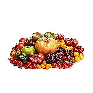 300+ Tomatoes Seeds for Planting, 6 Variety Pack Heirloom Non-GMO Small Cherry Tomato, Golden Jubilee, Black Tomato, Yellow Pear, Roma Tomato, Beefsteak Slicing Tomato