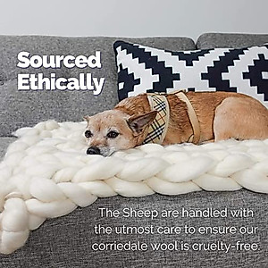 Revolution Fibers Corriedale Wool Roving 1 lb (16 Ounces) for Spinning | Soft Chunky Jumbo Yarn for Arm Knitting Blanket |100% Natural Undyed (Off-White) Wool Yarn Bulk, Felting Core, Carded Stuffing