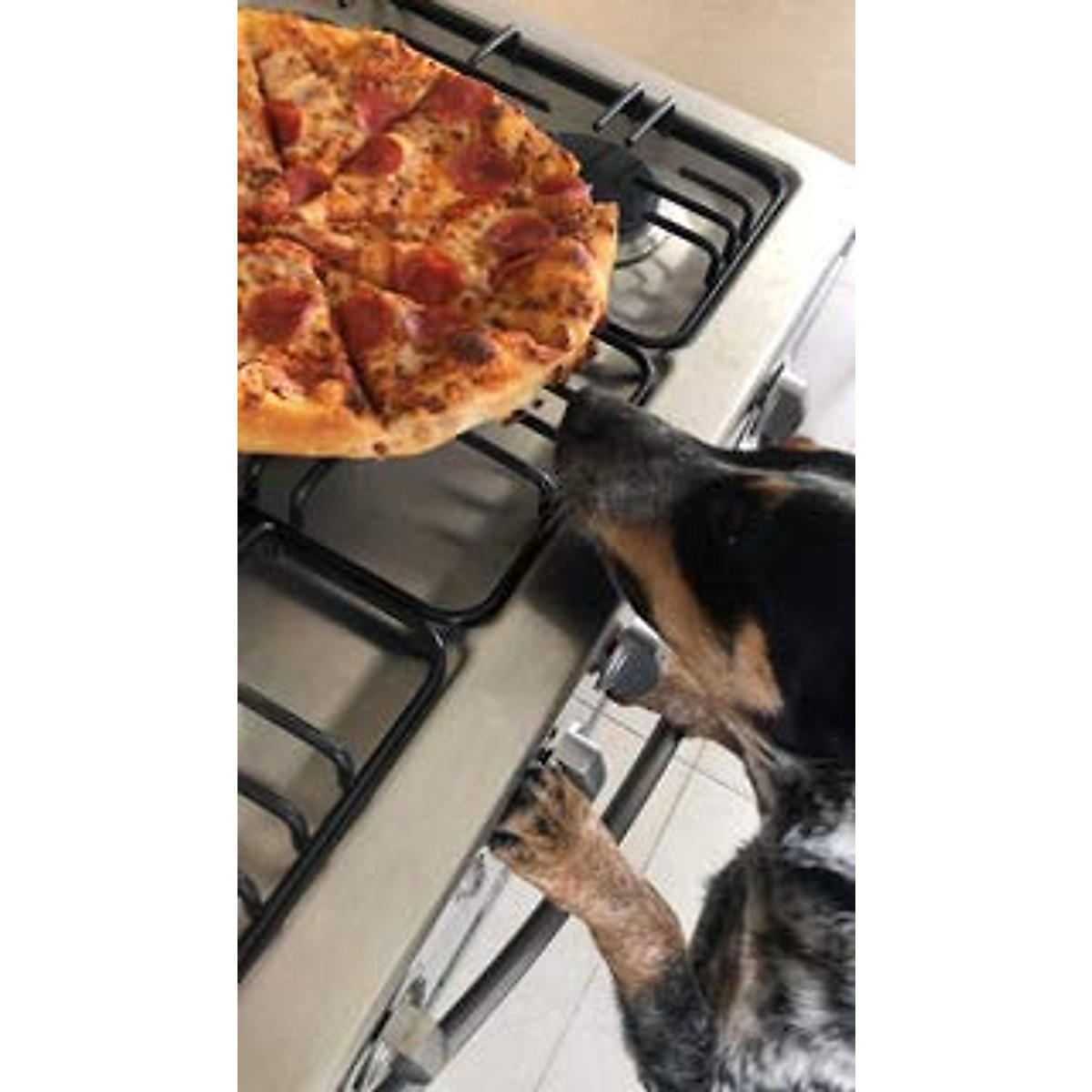 RangeSafe Stove Safety Knob™ (Brushed Stainless - As Seen in Good Housekeeping Magazine. Locking Stove knob Designed to Reduce Risk of Accidental Ignition. Price is for 1 KNOB