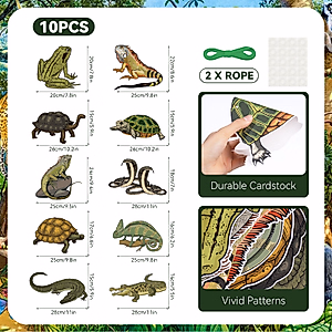 Reptile Birthday Party Decorations 10 PCS Reptile Swamp Door Banner Jungle Animals Lizard Snake Turtle Alligator Door Sign Camping Wilderness Reptile Theme Birthday Baby Shower Party Supplies