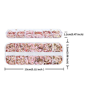 KACHIMOO KACHIMOO Nail Glitter Sequins,12 Grids Gold Pink Nail Glitter Flakes 3D Cherry Blossoms Moon Star Nail Sequin Flakes Heart Nail Charm Nail Accessories for Nail Art Decoration