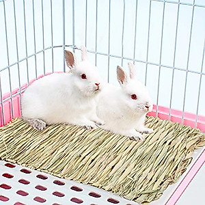Anyuxin Rabbit Grass Mat - Woven Bed Mat, Bunny Bedding for Small Animals, Natural Straw Woven Bed for Pet Nesting, Nature Hay Mat Chewing Play Toy for Guinea Pig, Hamster, Squirrel and More（3 Pack）