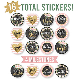 16 Monthly Baby Milestone Stickers Girl - Floral Baby Monthly Milestone Stickers For Baby Girl, Milestone Baby Monthly Stickers, Baby Month Stickers For Baby Photo Props, Monthly Baby Stickers Girl
