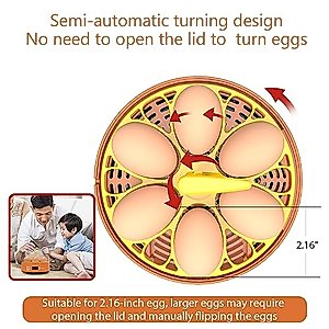 ayakol Small 6 Egg Incubator with External Lever Egg Turner,Temperature Control, Humidity Control, Led Candler, Hatcher for Chicken Duck Pigeon Quail Parrot，360 Degree View…