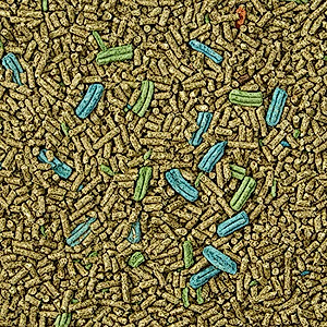 Kaytee Forti-Diet Pro Health Chinchilla Food 3lb