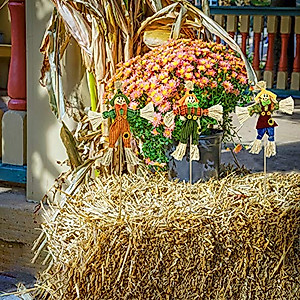 EBaokuup 10 PCS Halloween Scarecrow Decoration - 11.8 Inch Fall Harvest Scarecrow Thanksgiving Scarecrow Fall Harvest Standing Scarecrow Decor for Autumn, Halloween, Garden, Yard Decoration