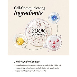 FOAMIST Hair Scalp & Thickening with Basil Mint and Caffeine no Chemical Hair Shampoo & Hair Conditioner SET for hair loss, Scalp 250ml / 8.4 fl.oz (2 Packs)