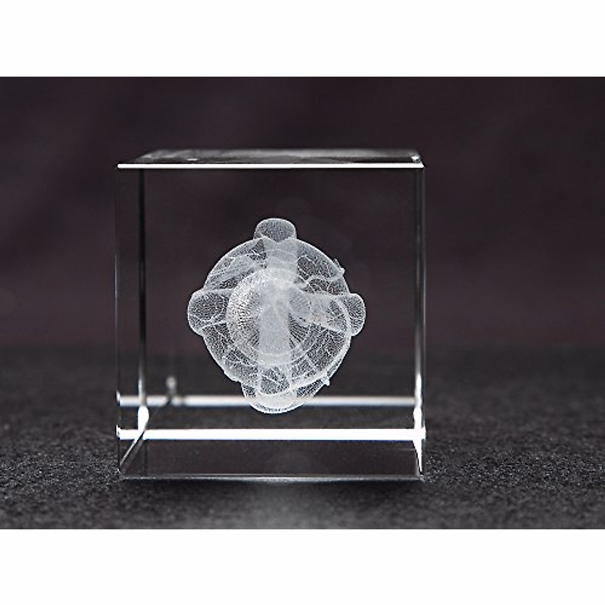 Eye 3D Laser 1lb Crystal, Anatomy, Ophthalmology