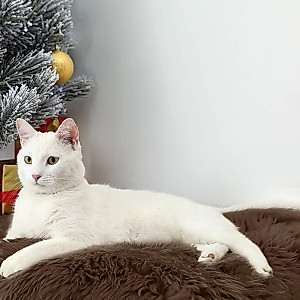 HYSEAS Faux Sheepskin Fur Area Rug Brown, 2x3 Feet, 2 Pack, Fluffy Soft Fuzzy Plush Shaggy Carpet Throw Rug for Indoor Floor, Sofa, Chair, Bedroom, Living Room, Home Decoration