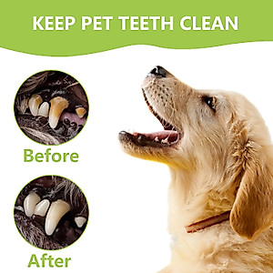 PARYUNGR Dental Tools Pet Dog Teeth Cleaner Tool Kit, Stainless Steel Plaque Remover Dental Picks Tooth Tartar Scraper, Pets Oral Care Hygiene Set for Cats and Dogs Use with Case