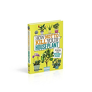 How Not to Kill Your Houseplant: Survival Tips for the Horticulturally Challenged