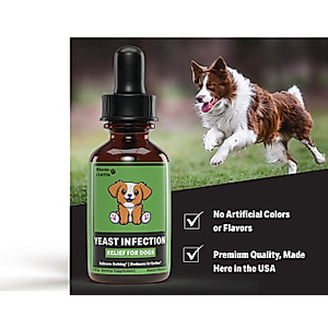 Natural Yeast Infection Treatment for Dogs | Helps to Support Itching Relief, Allergy Relief, Scratching Relief & More | Dog Ear Infection Treatment | Itch Relief for Dogs | Dog Itch Relief | 1 oz