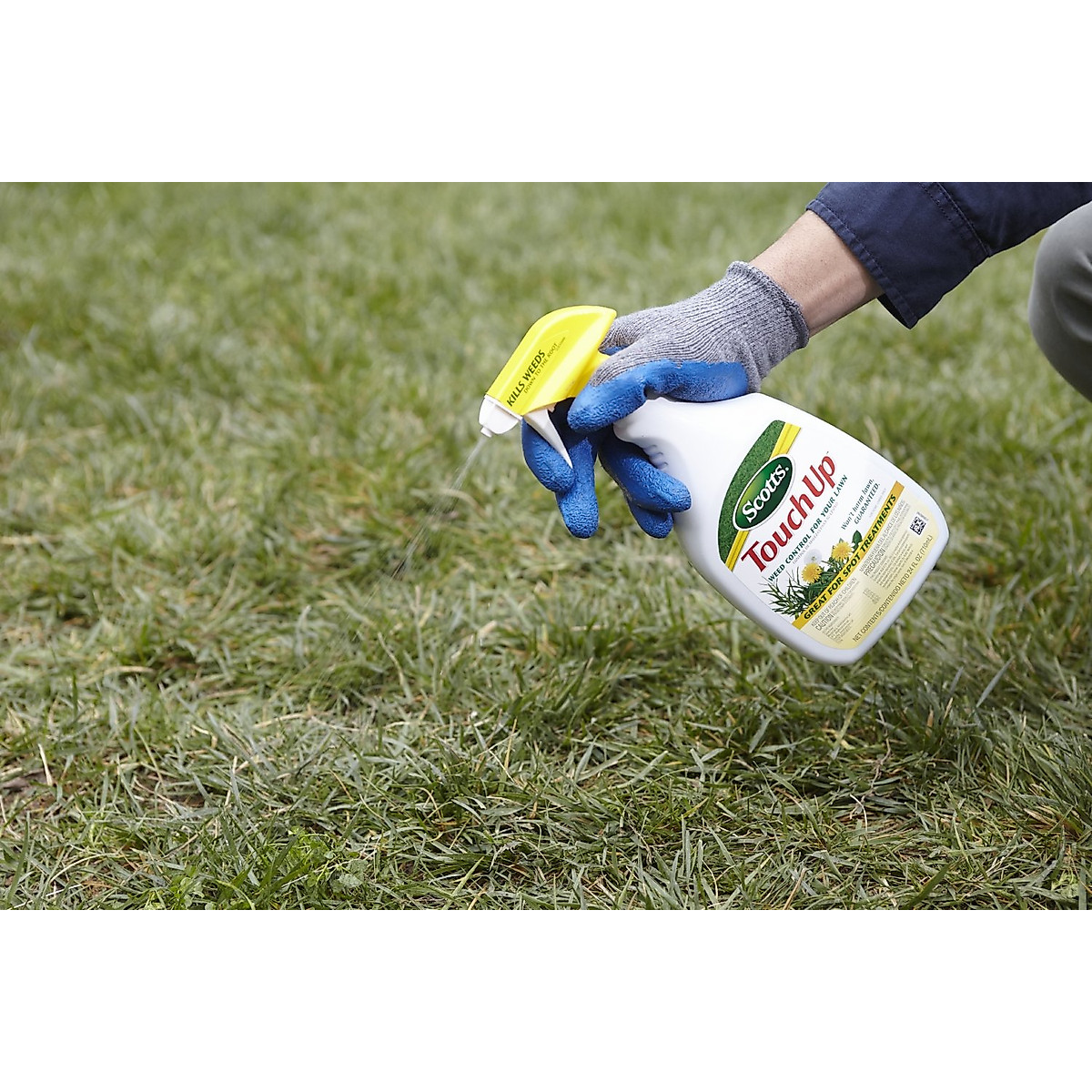 Scotts TouchUp Weed Control for Lawn (Dandelion, Clover, & Crabgrass Killer) (Not Sold in HI), 24 fl oz