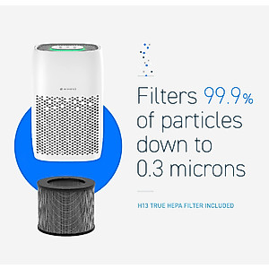 HATHASPACE Harmony 600 Certified Replacement Filter for HSE600 Air Purifier, H13 True HEPA