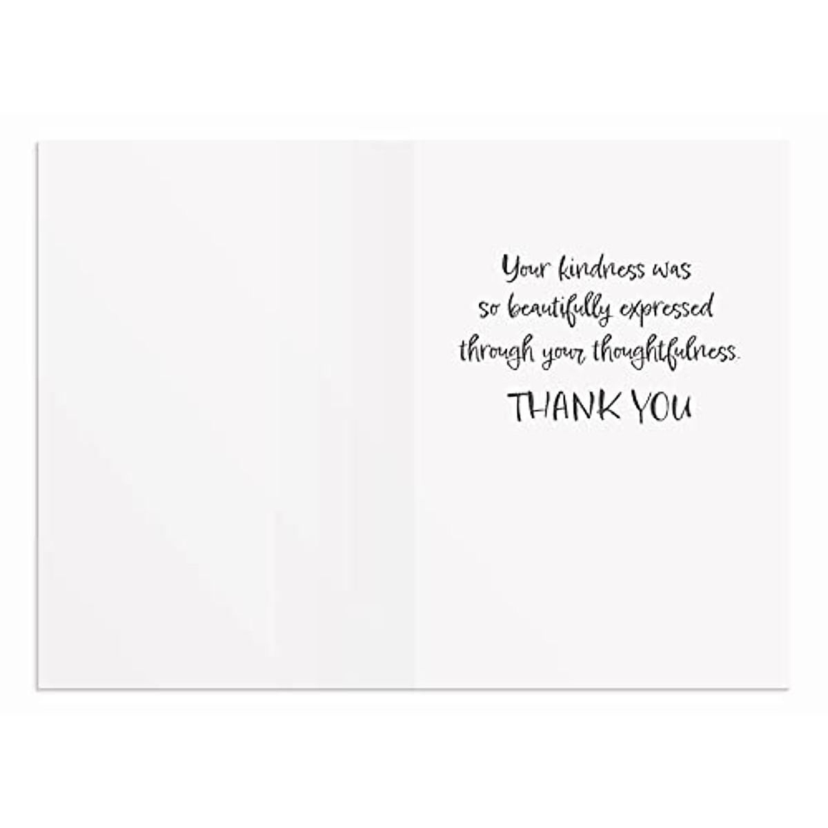 DaySpring - We Give Thanks - 4 Nature Design Assortment with Scripture - King James Version - 12 Thank You Boxed Cards & Envelopes (U0061)