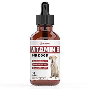 Vitamin B for Dogs | Vitamin B Complex for Dogs | Vitamin B12 for Dogs | Dog Vitamins | B12 Vitamins for Dogs | Vitamin B Dog Supplements | B Complex for Dogs | B12 for Dogs | Do1 fl oz: Bacon Flavor