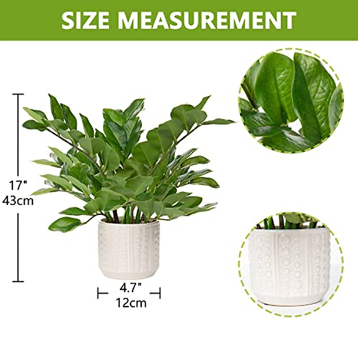 Briful Faux Plants Indoor 17" Artificial ZZ Plants in Ceramic Pot Fake Potted Zamioculcas Silk Plants for Home Living Room Office Decor Bedroom Aesthetic