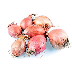 French Shallots 1 lb.
