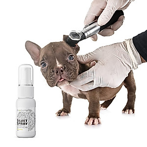 NEXDERMA Pet Wound Care with Colloidal Silver Medicated Itch Relief Hot Spot Spray for Dogs & Cats | First Aid Skin, Vet Formulated, All Natural Pain Free Formula - 25ml