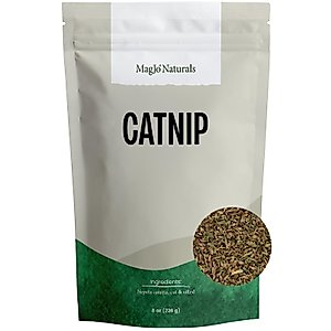 MagJo Naturals Farm Direct Catnip | Freshest Available | Bulk Bag (Half Pound)