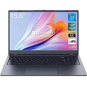 BiTECOOL 15.6-inch Windows 11 Laptop, 12GB RAM, 256GB NVMe SSD, up to 2100MB/S, FHD IPS Display, Intel Celeron N5095 Quad Core, 5G WiFi, BT4.2, Type C and Camera Cover, Lightweight and Portable
