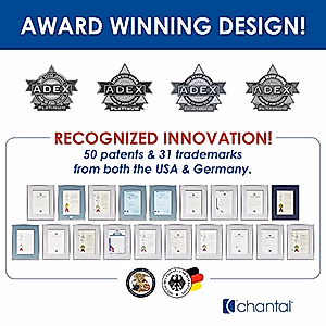 Chantal Electric Kettle, Royale Series, 32 OZ, Stainless Steel BPA-Free, Boil-Dry Guard, Multi-use Spout, (Silver)