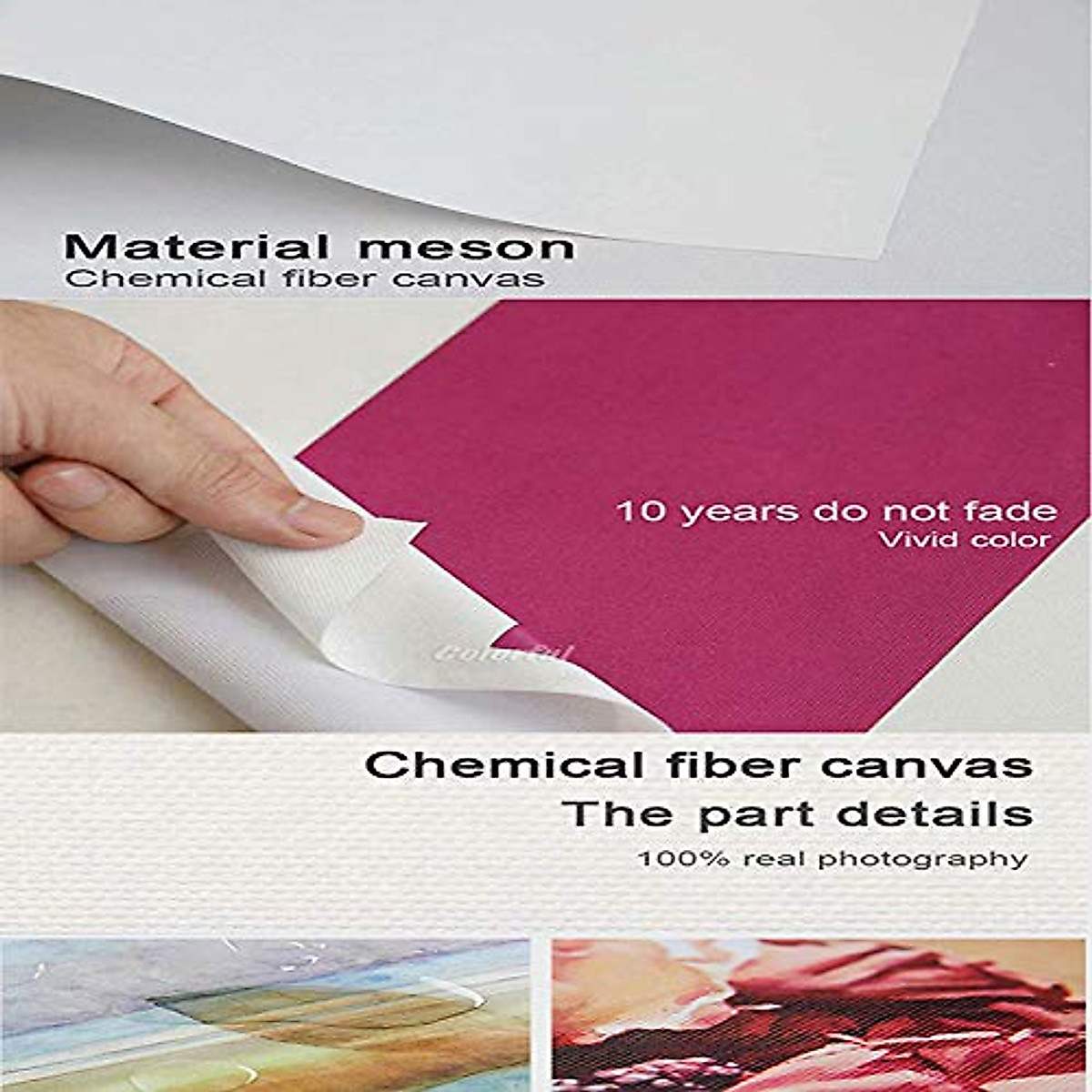 Scovill Hot Peppers Scale , Chilli Capsicum Knowledge Posters Nature Plant Gourmet Botanical Guide Kitchin Fresh Gift Living Room Prints Bedroom Decor (16x24inch-No Frame)