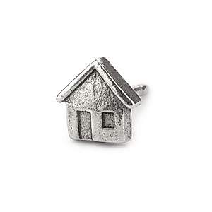 Silver House Metal Map Push Pins