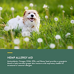 NaturVet Hemp Allergy Aid Supplement for Dogs, Hemp Seed, Antioxidants, Omegas, Dha & Epa for Healthy Skin & Respiratory Health, 60 Count