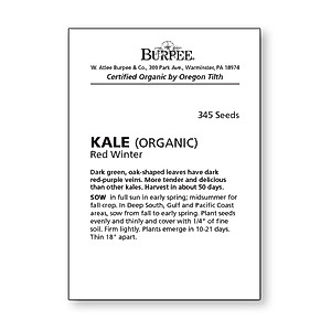 Burpee Red Winter Kale Seeds 345 seeds