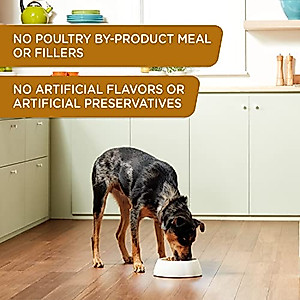 Rachael Ray Nutrish Premium Pate Wet Dog Food, Chicken and Beef Variety Pack, 13 Ounce Cans (Pack of 12)