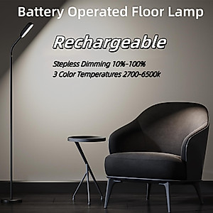 YUWLDD Battery Floor Lamp,Rechargeable Portable Reading Floor Lamp for Living Room,Battery Powered Cordless Lamp,Touch Control for Camping,Emergency Lighting(Black)