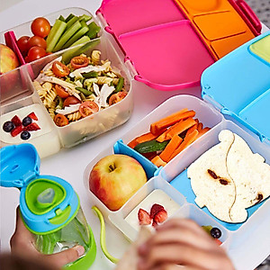 Sandwich Bread Cutters Shapes Set for Kids Vegetables Fruits Cheese Shapes Mold Supplies Crust Lunchbox and Bento Box