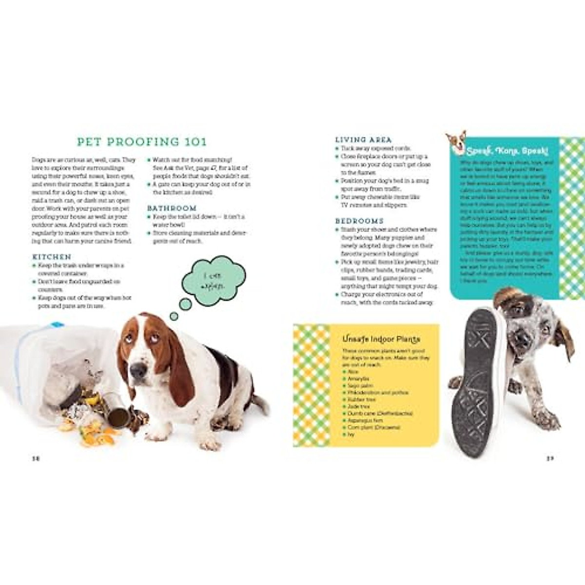 A Kid's Guide to Dogs: How to Train, Care for, and Play and Communicate with Your Amazing Pet!