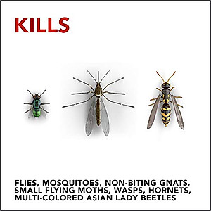 Raid Yard Guard Mosquito Fogger, Kills flies, mosquitoes, non-biting gnats, small flying moths, wasps and hornets 16 oz, Pack of 12