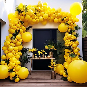 Green Yellow Balloon Garland Double Stuffed Balloons Different Sizes Latex matte Yellow Green Balloon Pastel Emerald Green Yellow Balloon Arch Kit for Birthday Baby Shower Wedding Sunflower Party Deco