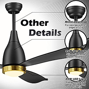 LEEAGLEGRY 52 Inch Black Ceiling Fan with Lights and Remote, Black and Gold Ceiling Fans with Dimmable LED Light, 3 Blade Modern Fan, Quiet DC Motor Tri-Color for Bedroom Living Dining Room