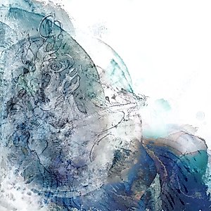 廻人 / 廻人盤 (初回限定・特製BOX仕様) (CD+GOODS)
