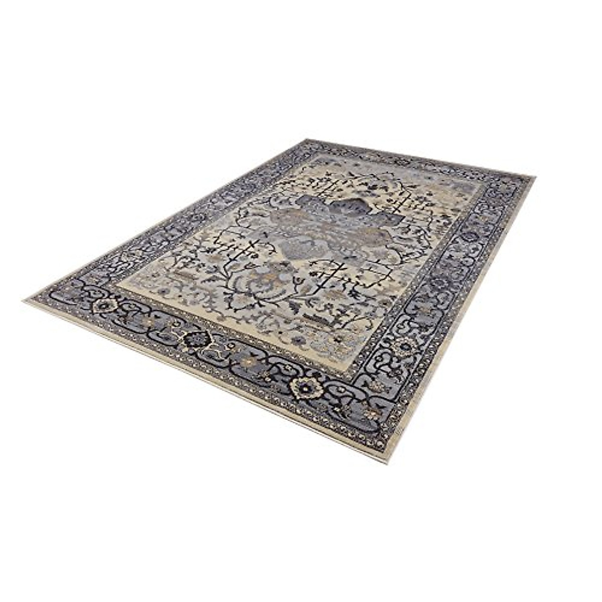 Pierre Cardin Cosmos Collection Oriental Design Area Rugs for Living Room Carpets (5' x 8', Multi (CS13D))