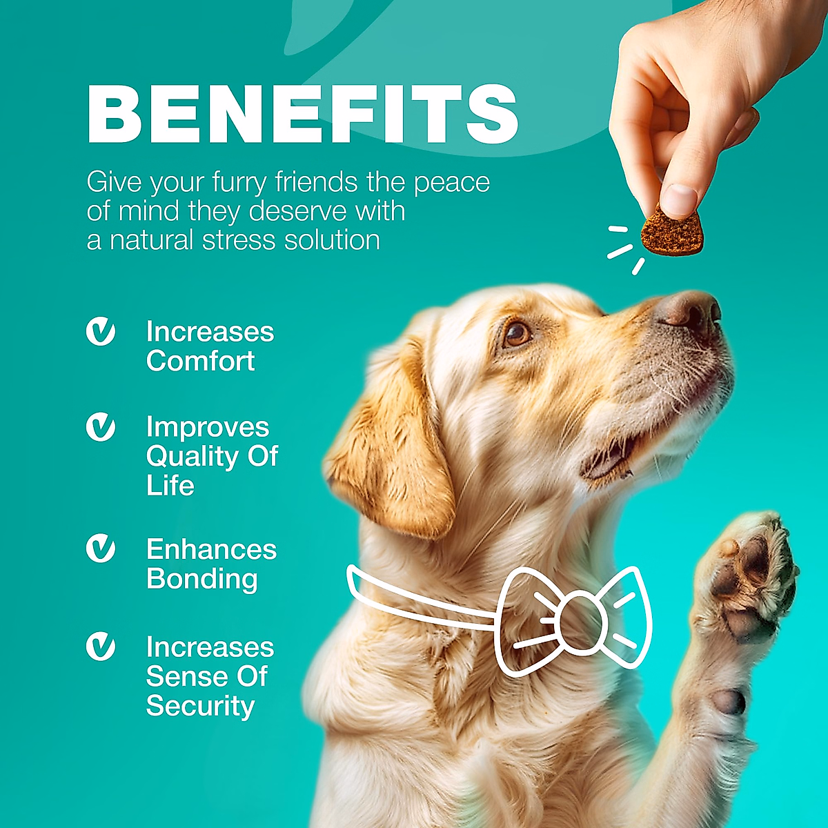 No Poo Chews for Dogs - Coprophagia Deterrent for Dogs - Dog Probiotics for Digestive Health - Forbid for Dogs Stool Eating Deterrent - Digestive, Gut & Immune Health Treats - No Poop Eating for Dogs