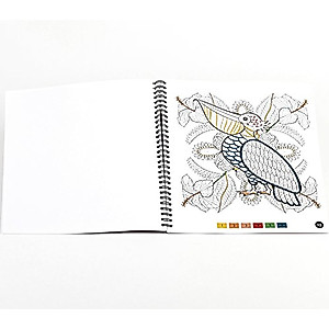 Brain Games - Color by Number: Stress-Free Coloring (Orange)